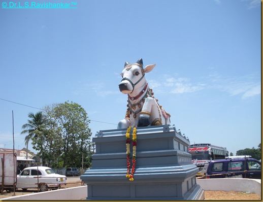 Dr.Ravishankar's blog: Surutapalli Pallikondeshwarar Temple